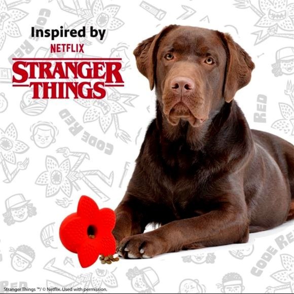 Dog | Stranger Things Demogorgon Treater Hider Extra Large Dog | Poshmark